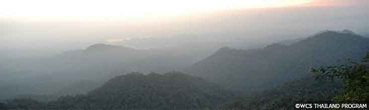 Western Forest Complex